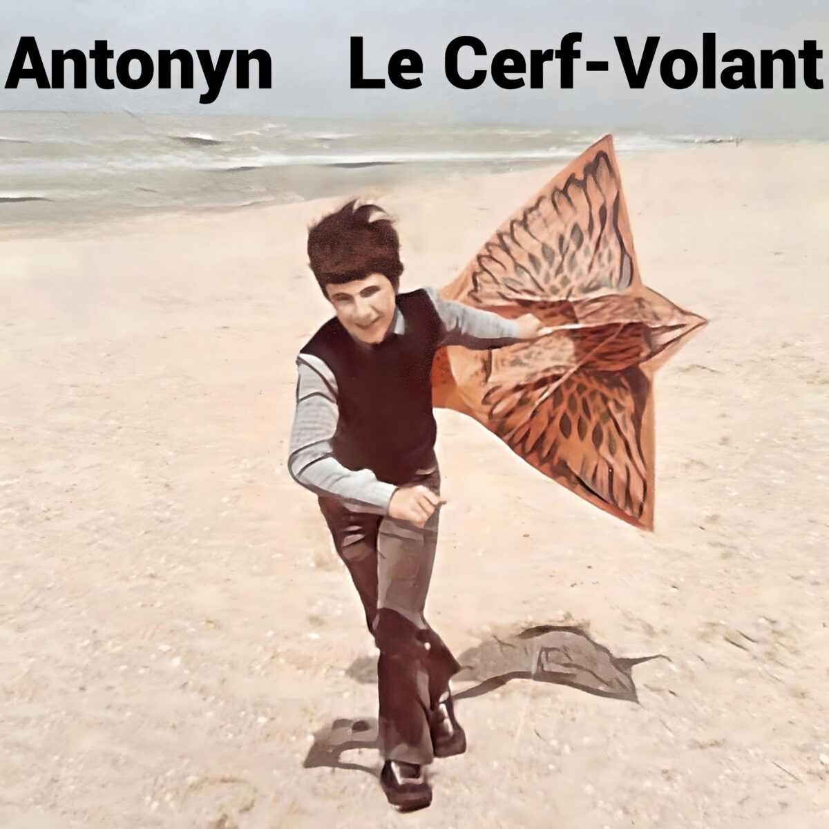 Antonyn — Le Cerf Volant - Beathoven